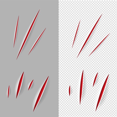 Scratches isolated on transparent background Vector Image