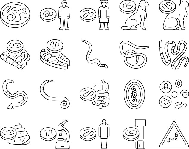 Parasitology Vector Images (over 270)