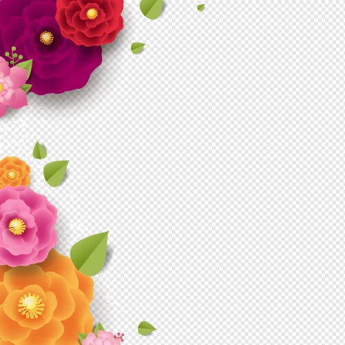 Floral borders on transparent background Vector Image