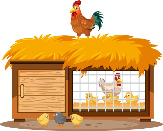 Chickens lives in chicken coops Royalty Free Vector Image