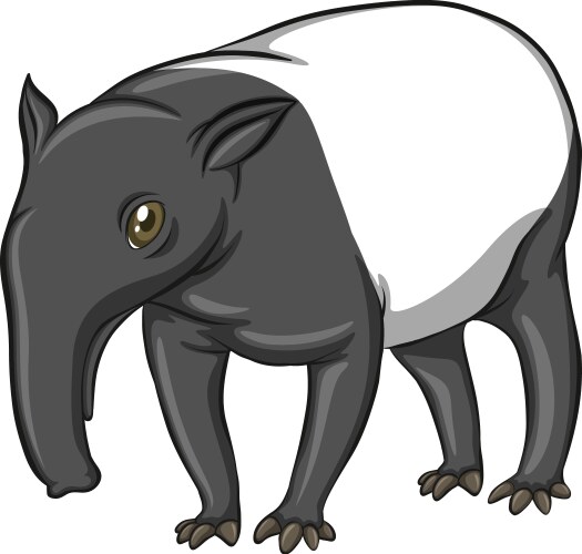 Cartoon asian tapir isolated on white background Vector Image