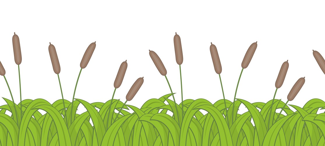 Bulrush Vector Images (over 870)