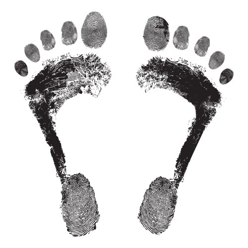 Footprint Vector Images (over 58,000)