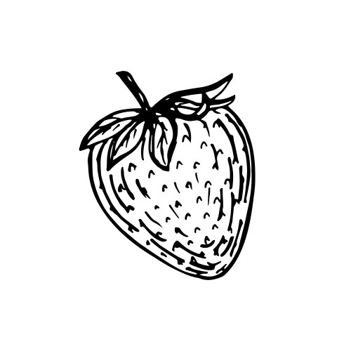 Line Drawing of Strawberry Simple Vector Images (over 770)