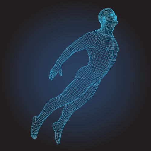3d wireframe human body Royalty Free Vector Image