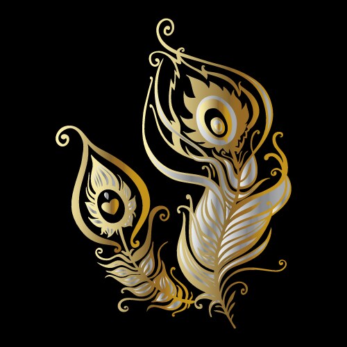 Fire peacock feather Royalty Free Vector Image