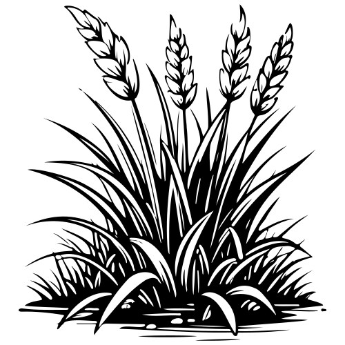 Doodle sketch art nouveau drawings park border Vector Image