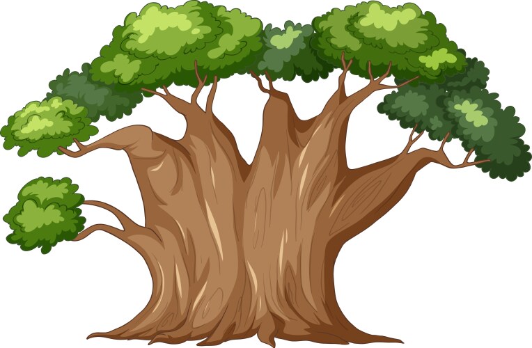 A tall ashoka tree Royalty Free Vector Image - VectorStock