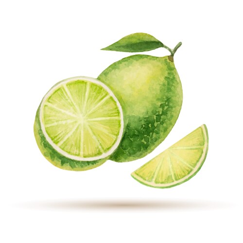 Lime Vector Images (over 240,000)