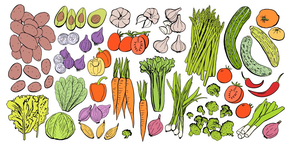 Vegetables Vector Images (over 590,000)