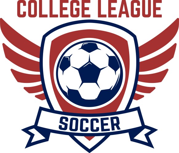 No play or football sign Royalty Free Vector Image