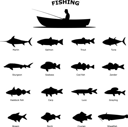 Fish school silhouette of group sea fishes Vector Image