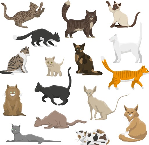 Cat breeds icon set flat style isolated on white Vector Image