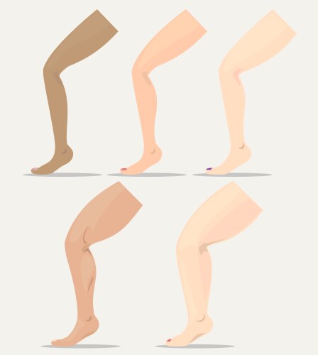 Leg Vector Images (over 190,000)