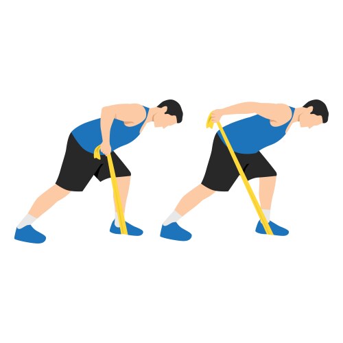 Man doing dumbbell bent over reverse flyes Vector Image Man doing dumbbell bent over reverse flyes Vector Image