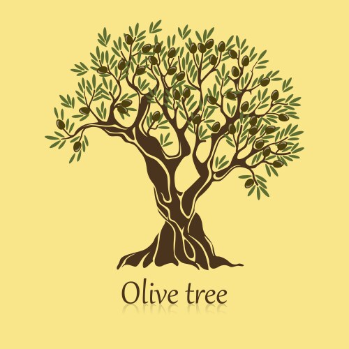 Olive Tree Vector Images (over 16,000)
