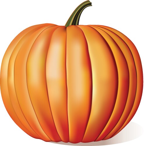 Pumpkin Vector Images (over 220,000)