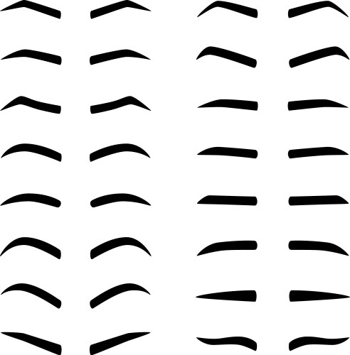 Women eyebrows shapes set Royalty Free Vector Image