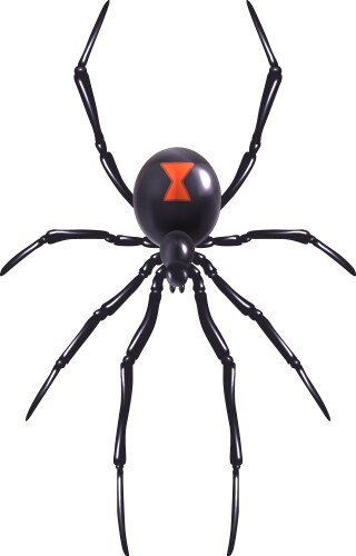Black Spider Graphic Royalty Free Vector Image