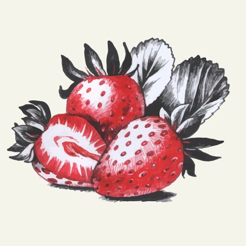 Strawberry Vector Images (over 120,000)