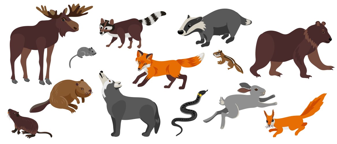 Drawing forest animals Royalty Free Vector Image