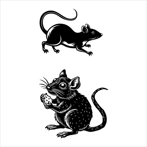 Mouse Outline Vector Images (over 30,000)