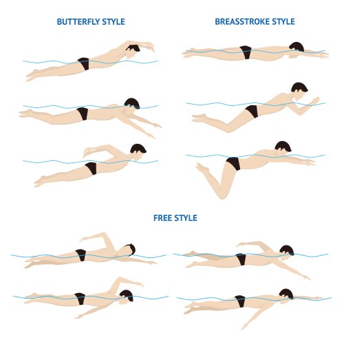 Butterfly Swimming Vector Images (over 2,000)