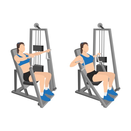 Hammer strength machine seated chest press Vector Image