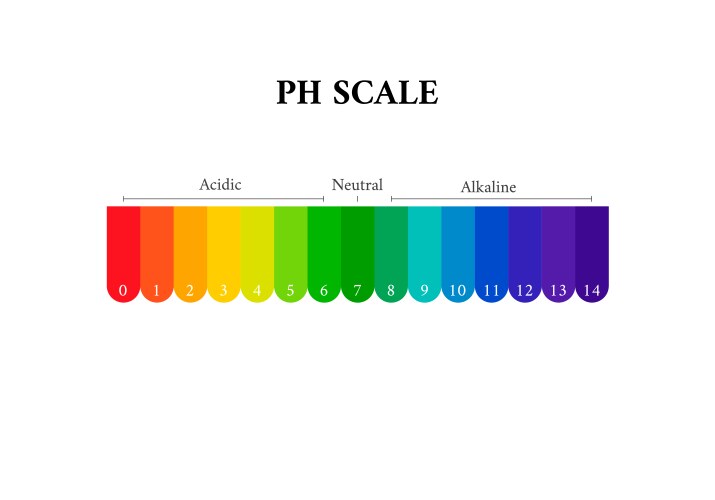 Ph Indicator Chart Vector Images (over 330)