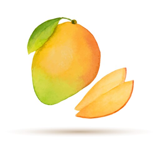 Mango Vector Images (over 22,000)