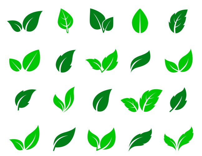 Free Leaf Vector Images (over 73,000)