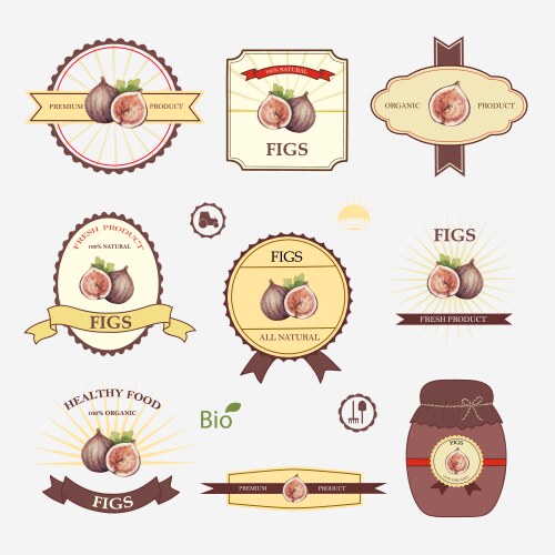 Fig Logo Vector Images (over 1,000)