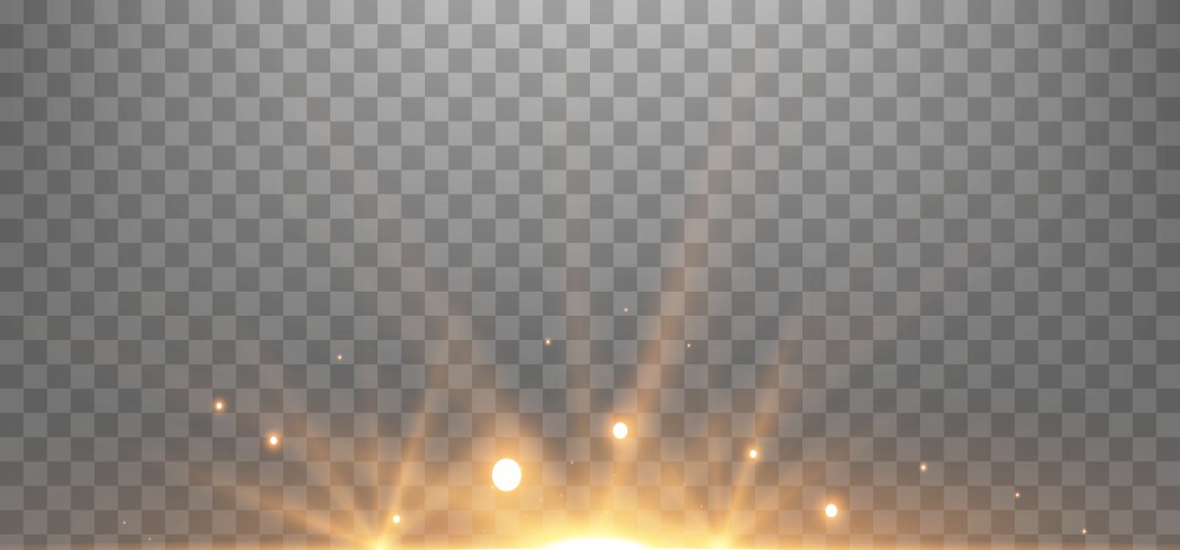 Gold horizontal lens flares set isolated Vector Image