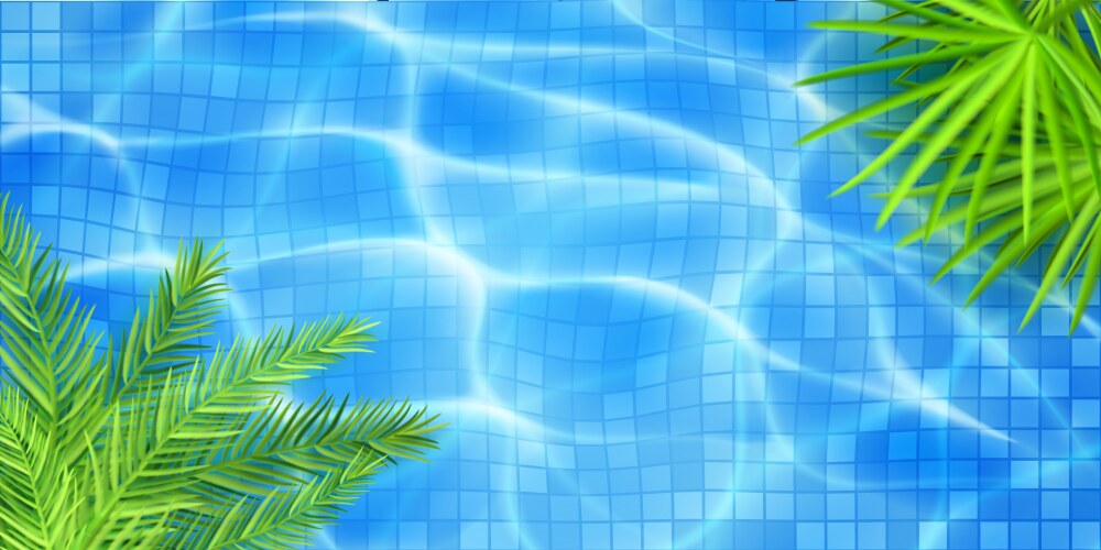 Swimming pool top view Royalty Free Vector Image
