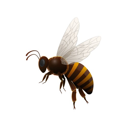 Bee Side View Vector Images (over 110)