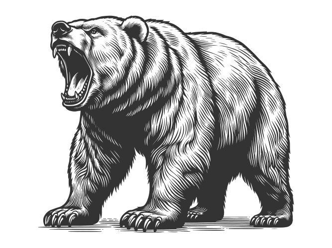 Bear Vector Images (over 210,000)