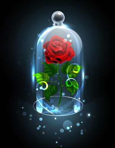 Free Floral Vector Images (over 60,000)