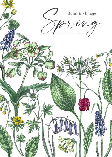 Floral border with wildflowers Royalty Free Vector Image