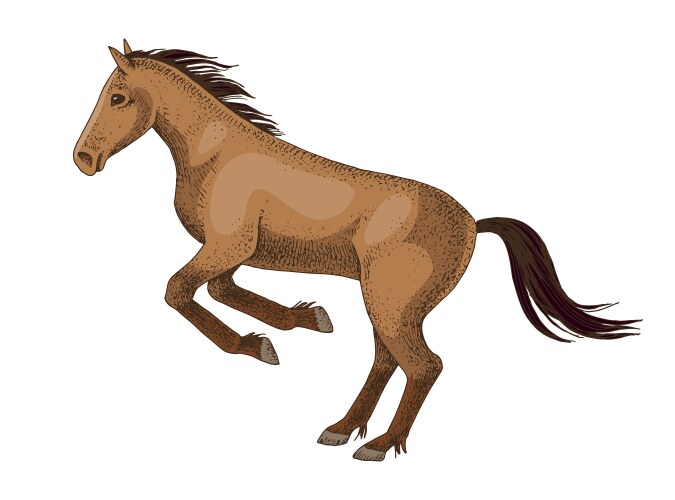 Sports Tails Vector Images (over 8,100)