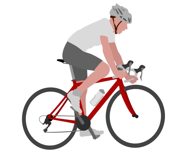 Race bicyclist detailed color Royalty Free Vector Image