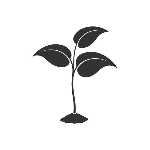 Sprout Royalty Free Vector Image - VectorStock
