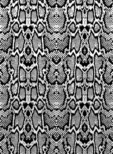 Snake Pattern Vector Images (over 13,000)