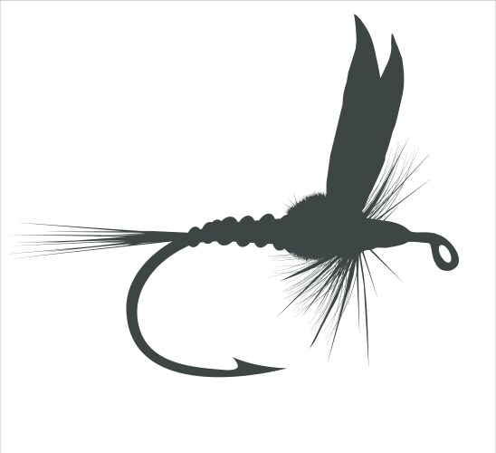 Fly-fishing on white background Royalty Free Vector Image