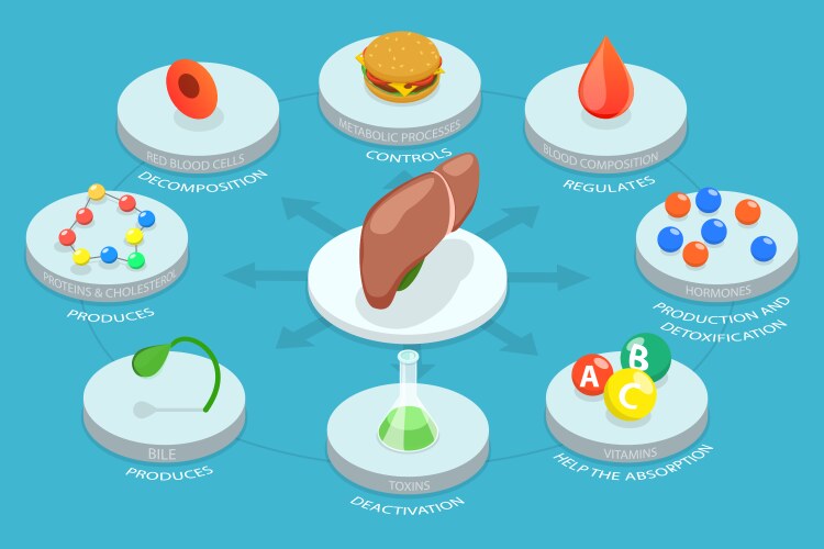 Enzyme Cartoon Vector Images (over 200)