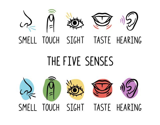 Cartoon five senses Vector Images & Graphics for Commercial Use ...