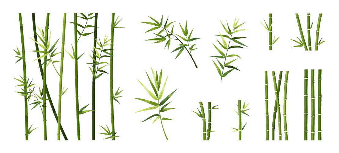 Bamboo Cartoon Vector Images (over 13,000)