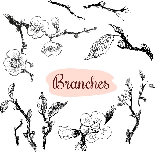 Branches Vector Images (over 670,000)