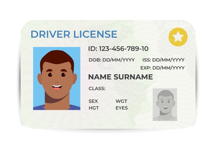 Drivers license a plastic identity card Royalty Free Vector