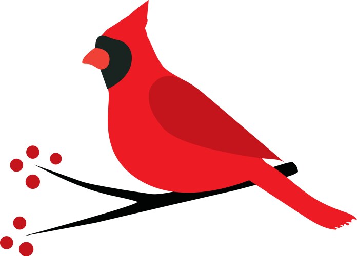Cardinal Vector Images (over 5,000)