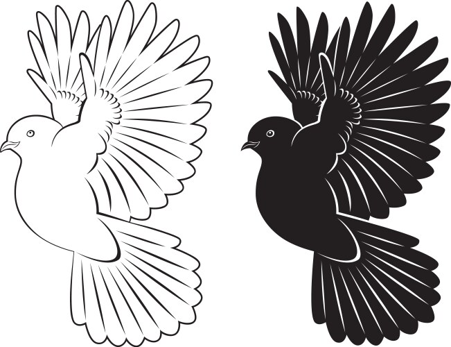 Fly dove Royalty Free Vector Image - VectorStock